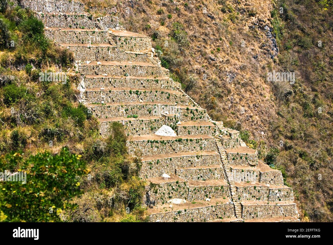 Old ruins of steps in a forest, Choquequirao, Inca, Cusco Region, Peru ...