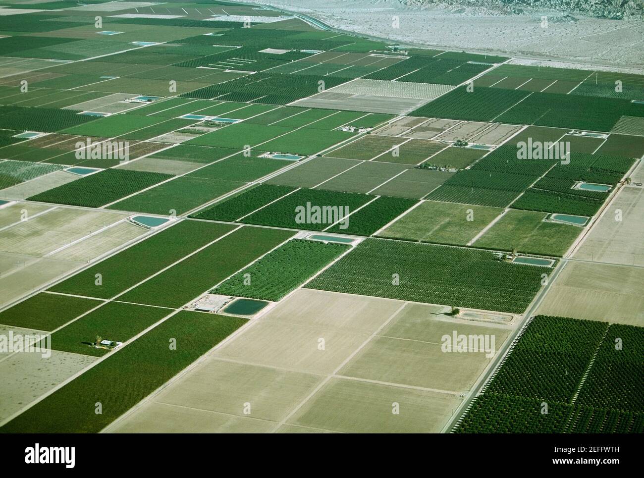 Desert agriculture, Imperial Valley, California Stock Photo - Alamy