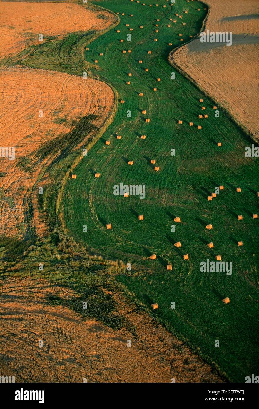 Aerial view of hay fields, Washington state Stock Photo - Alamy