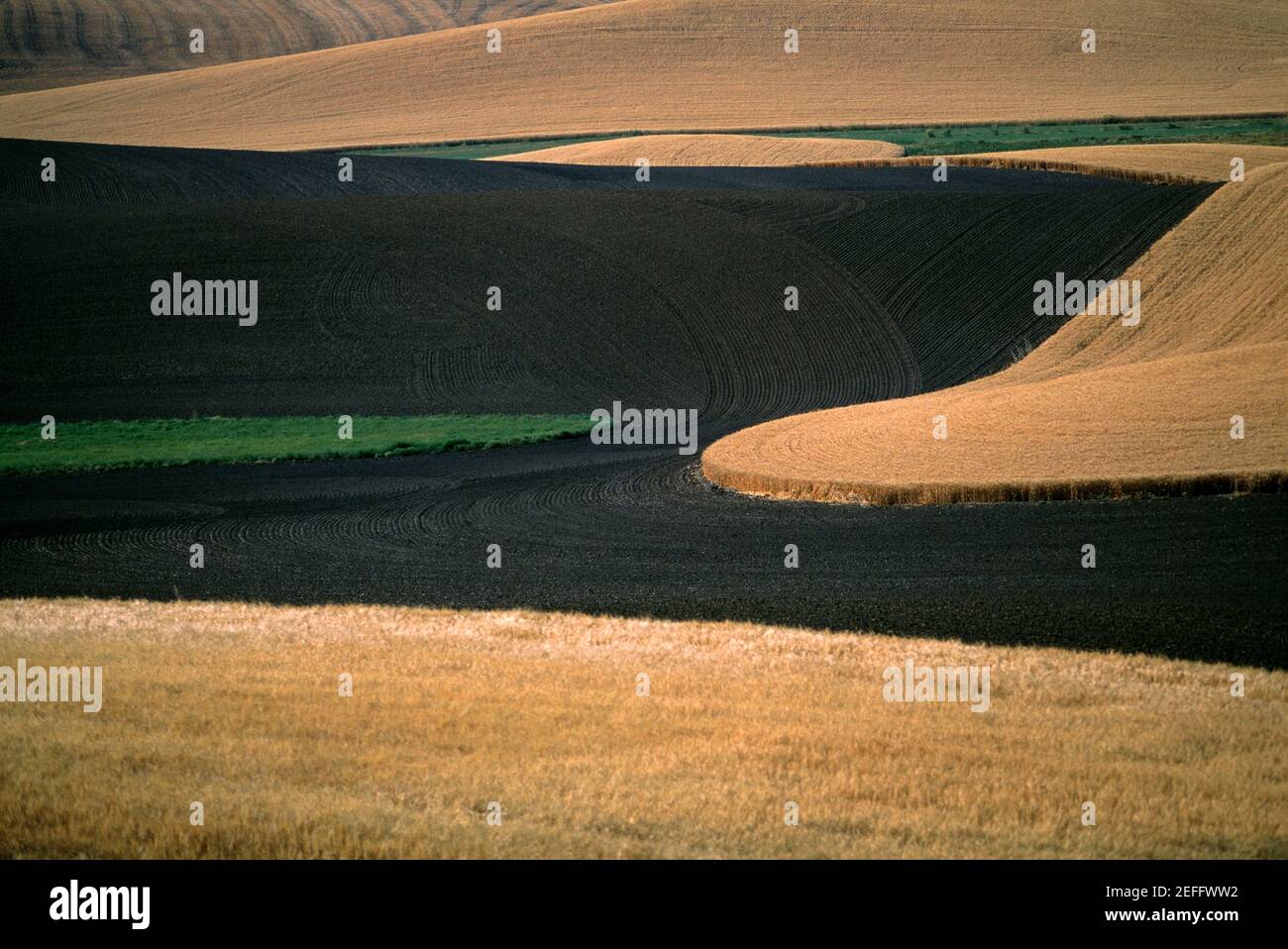 Contour ploughing hi-res stock photography and images - Alamy