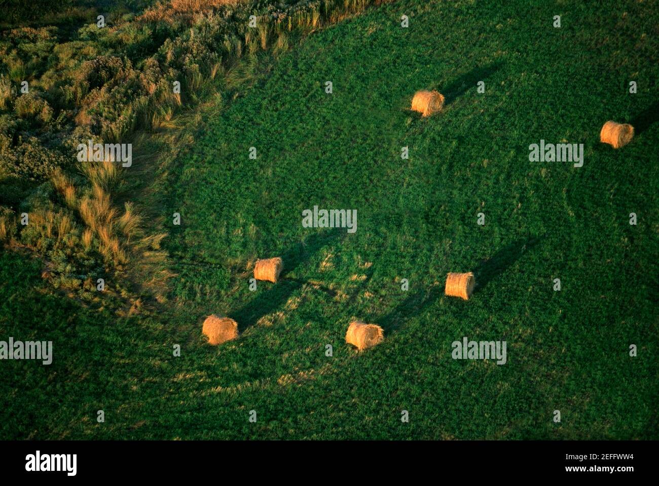 Aerial view of hay fields, Washington state Stock Photo - Alamy