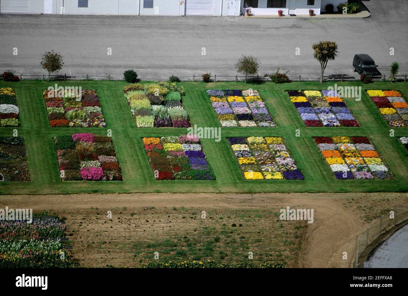 Experimental flower plots Stock Photo - Alamy