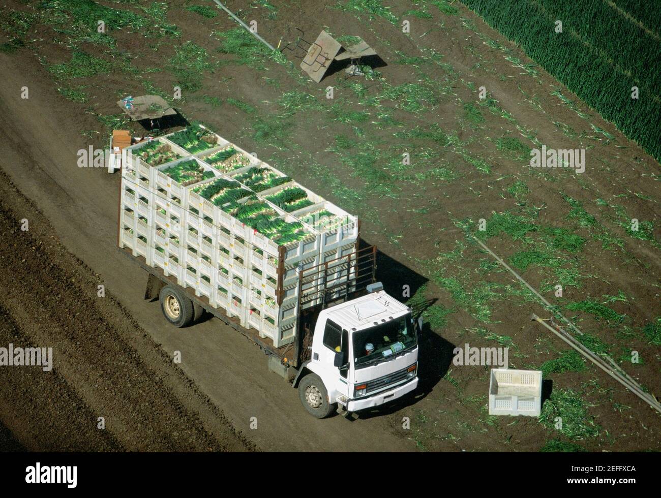 Load of onions hi-res stock photography and images - Alamy