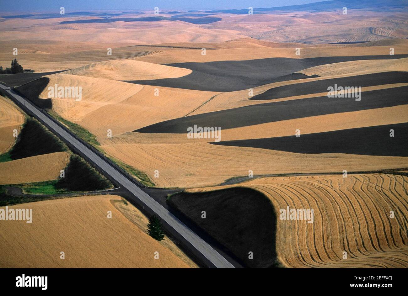 Aerial view of contour plowed fields, Washington state Stock Photo - Alamy