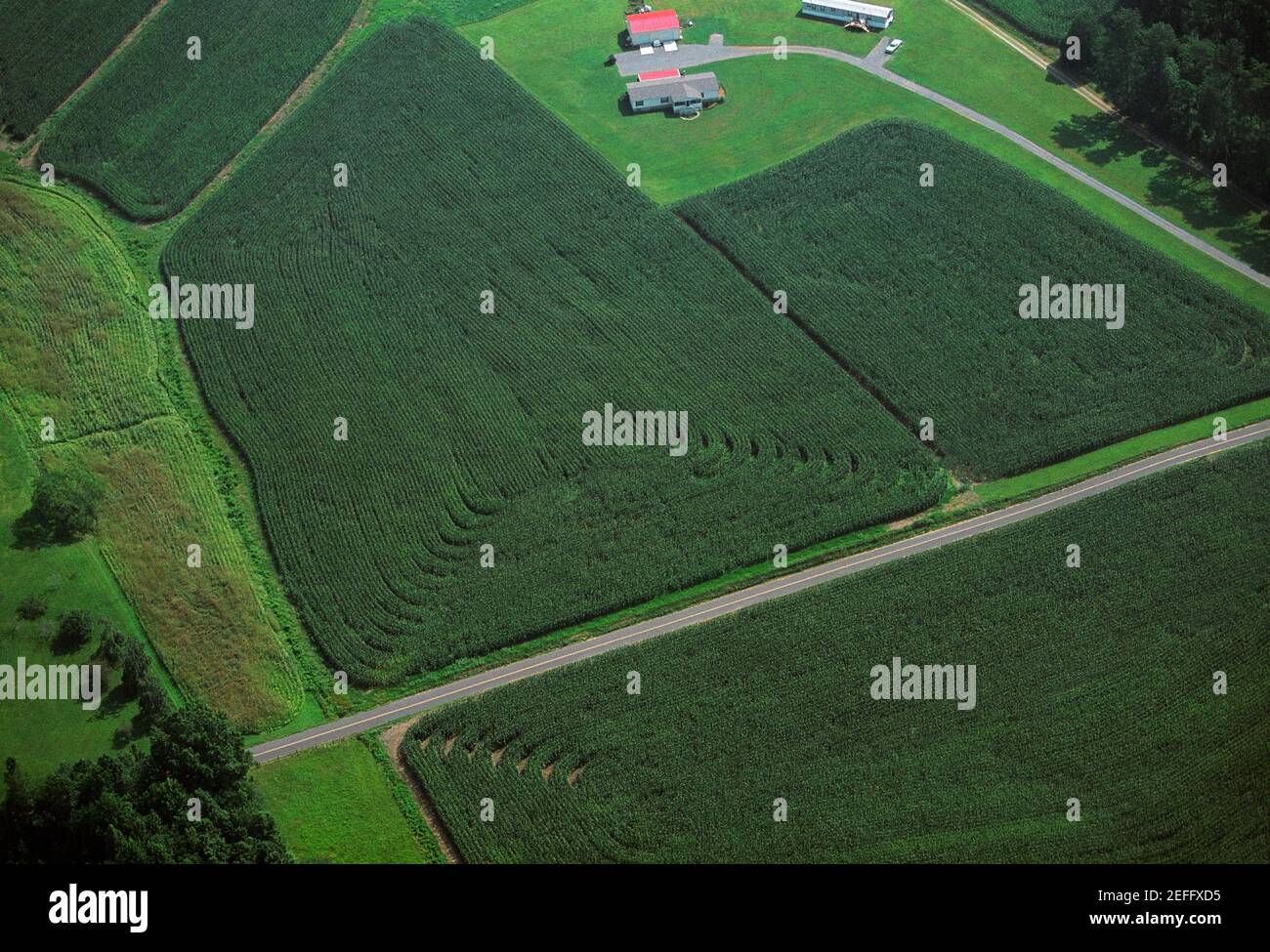 Corn field usa aerial hi-res stock photography and images - Alamy