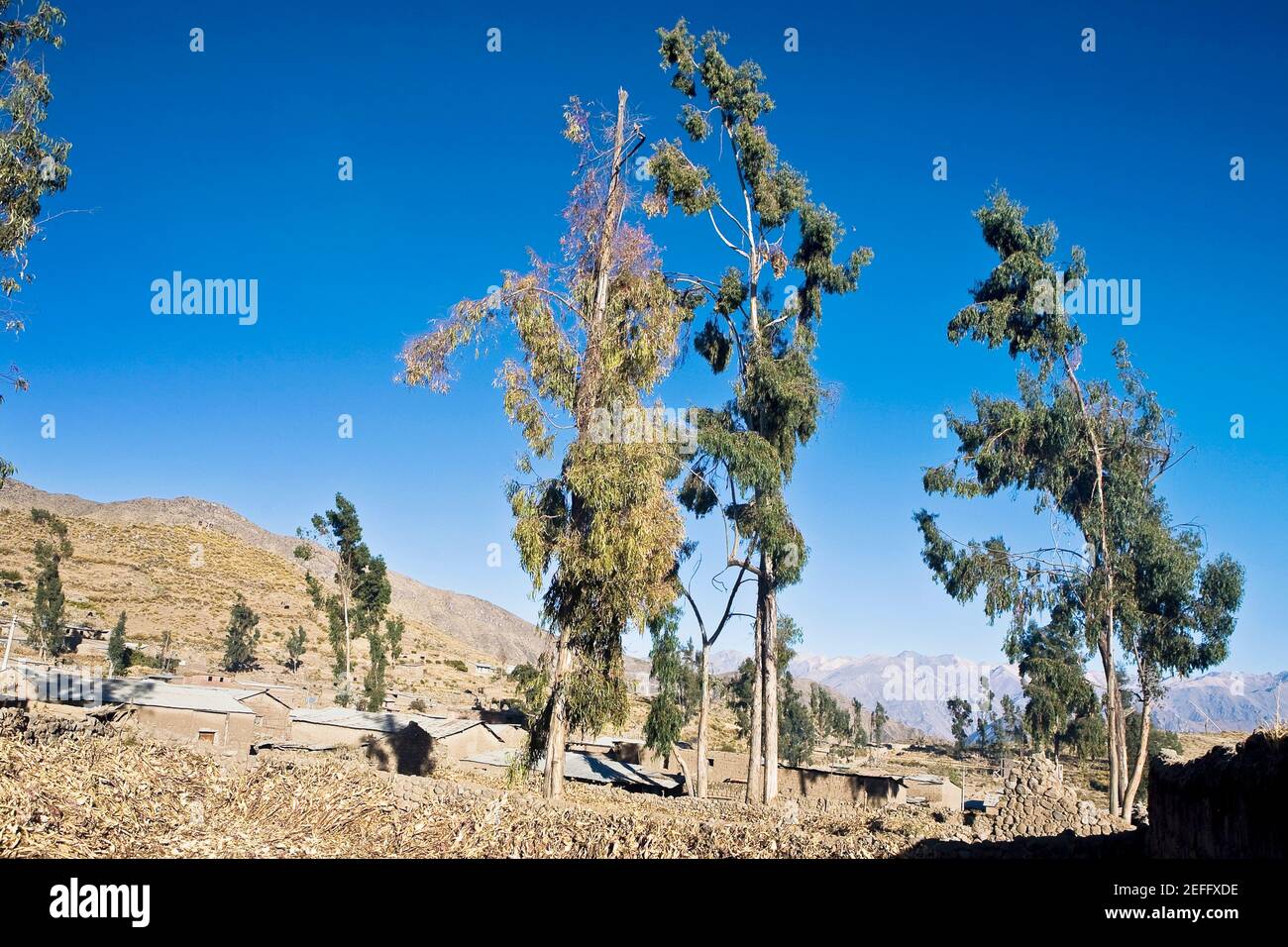 Huts on a mountain, Cabanaconde, Peru Stock Photo - Alamy