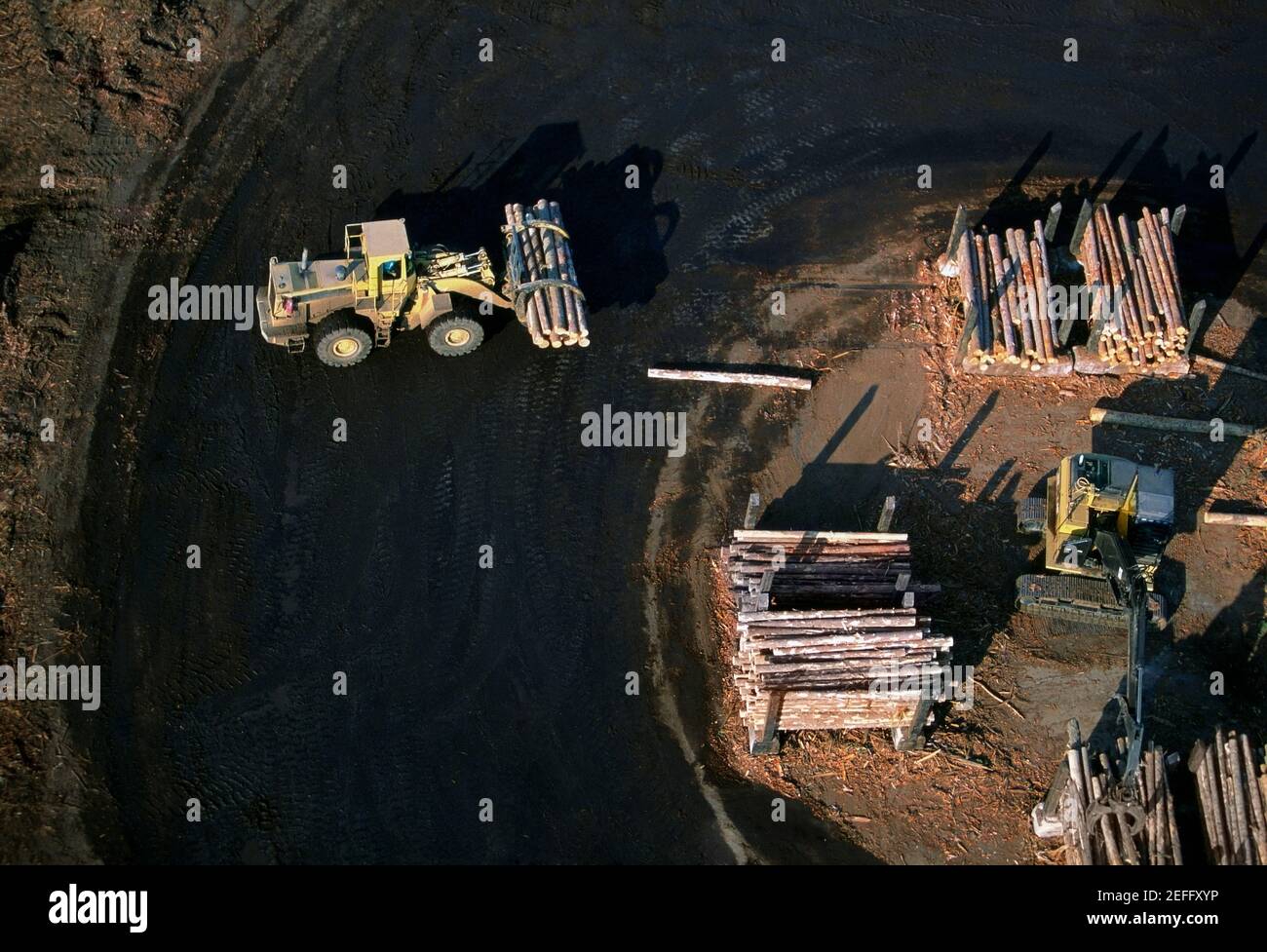 Log handler hi-res stock photography and images - Alamy