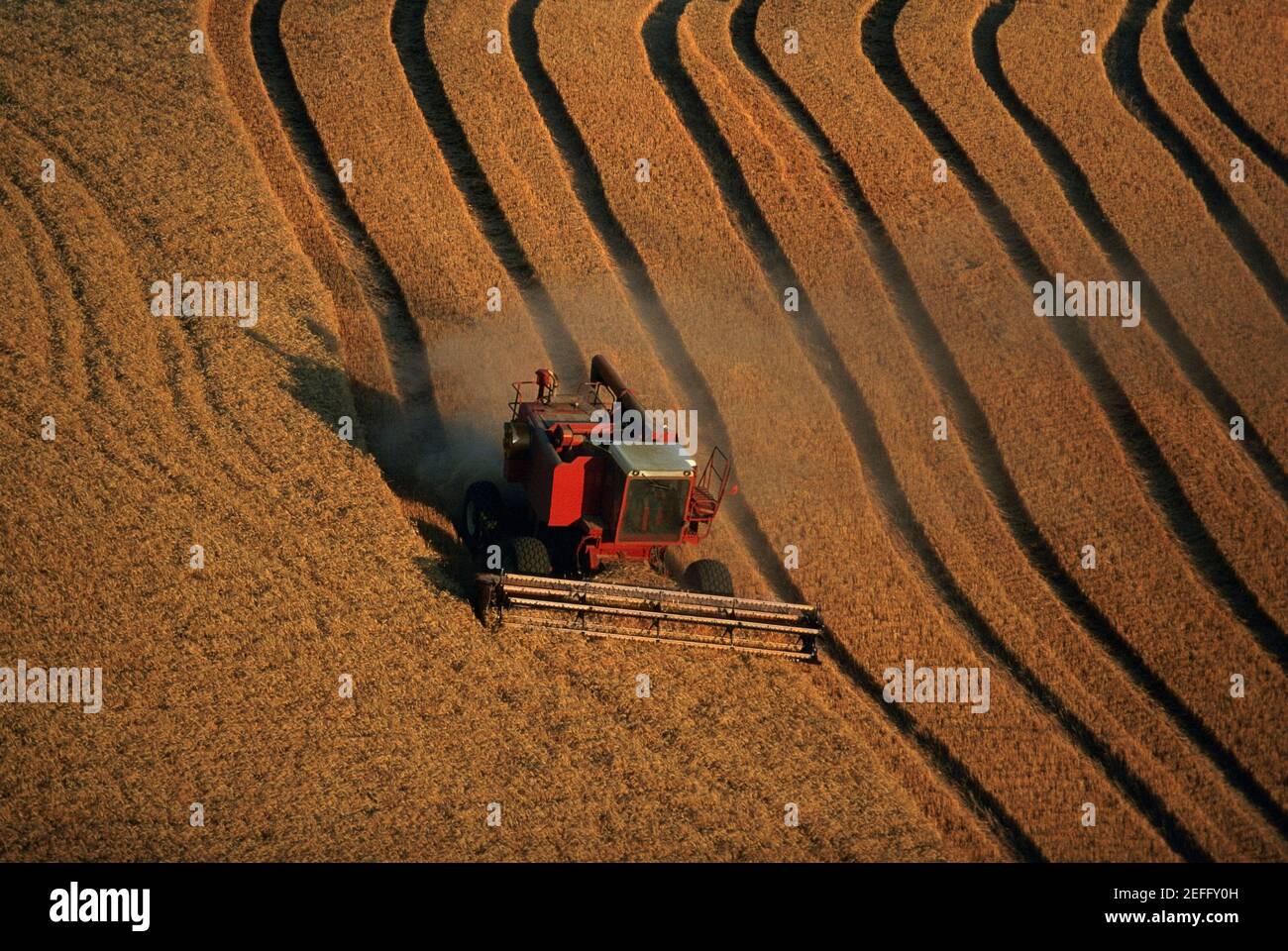Dusty Washington High Resolution Stock Photography and Images - Alamy