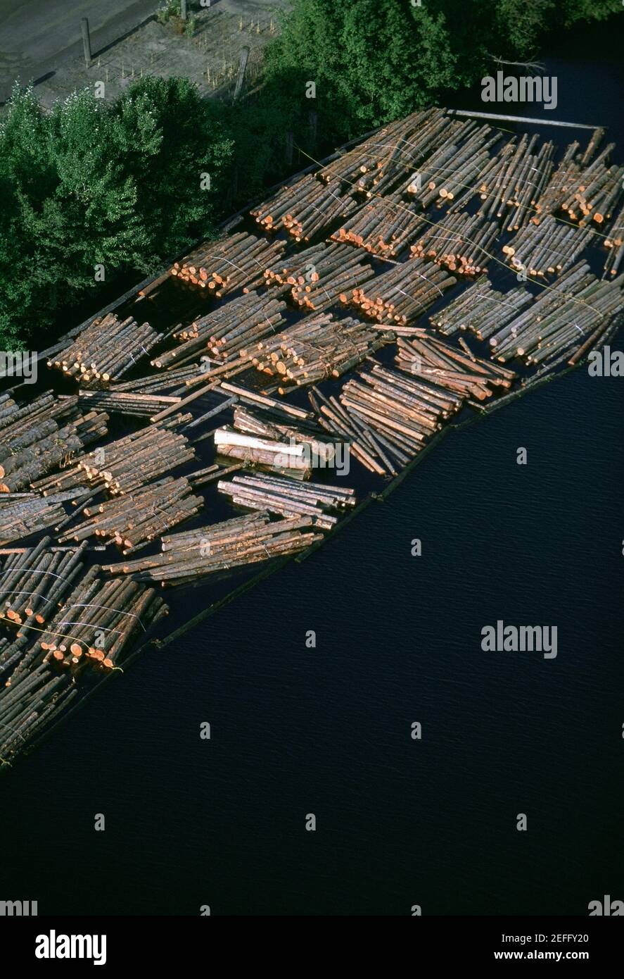 Log rafts flowing to a sawmill, Idaho Stock Photo - Alamy