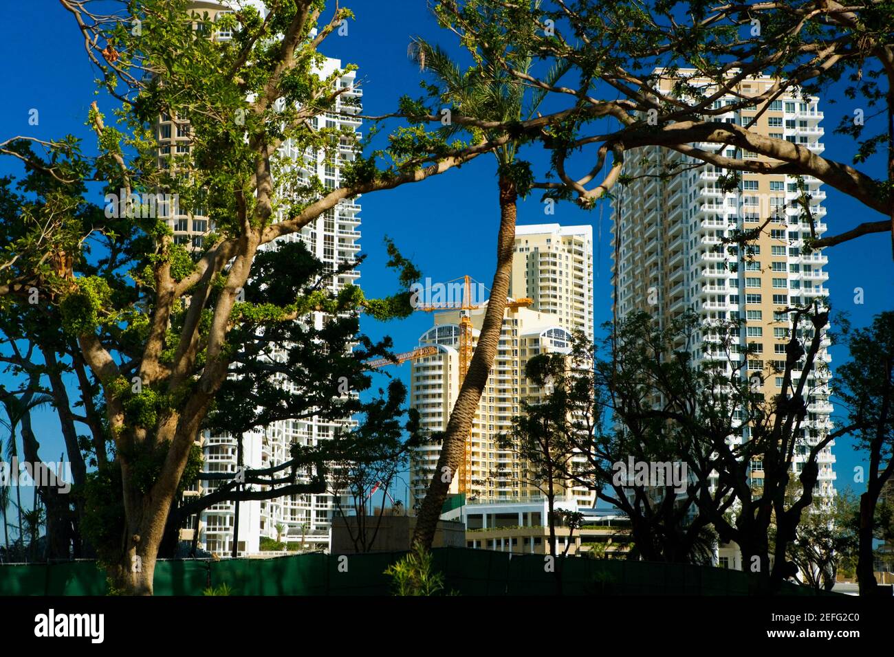 Buildings behind trees hi-res stock photography and images - Alamy