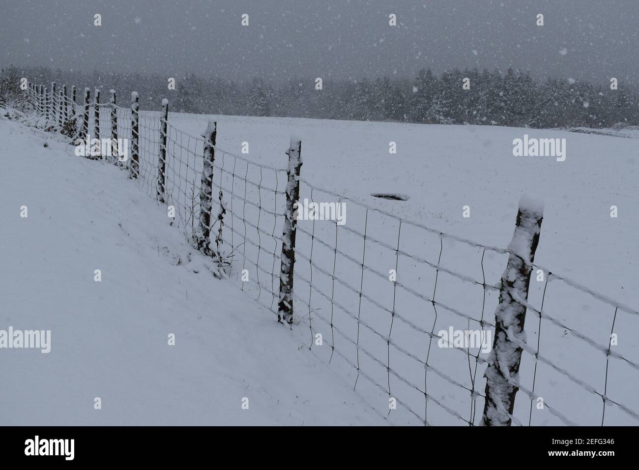 Une clôture sous la neige Stock Photo - Alamy