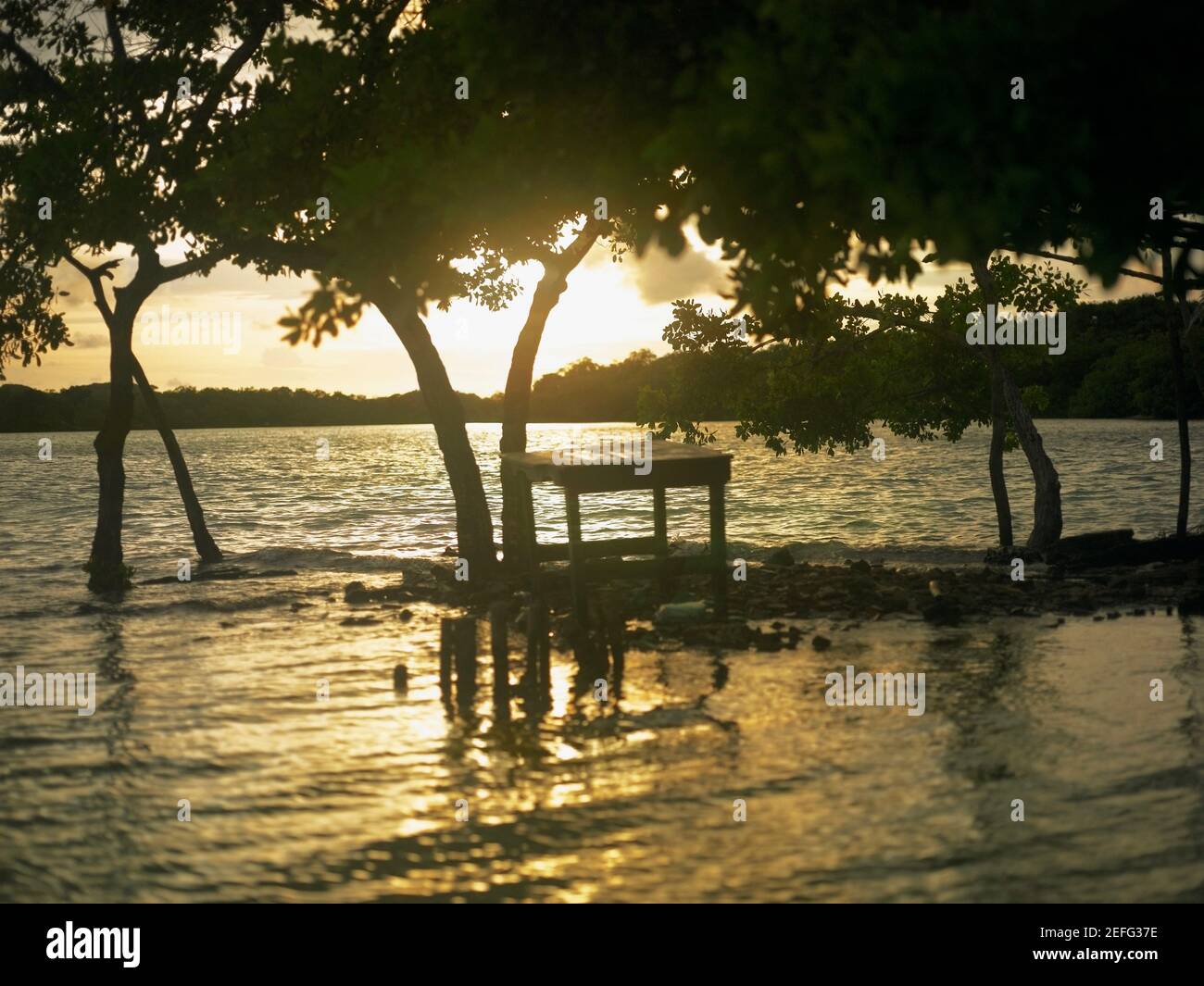 Silhouette of a table under trees Stock Photo - Alamy