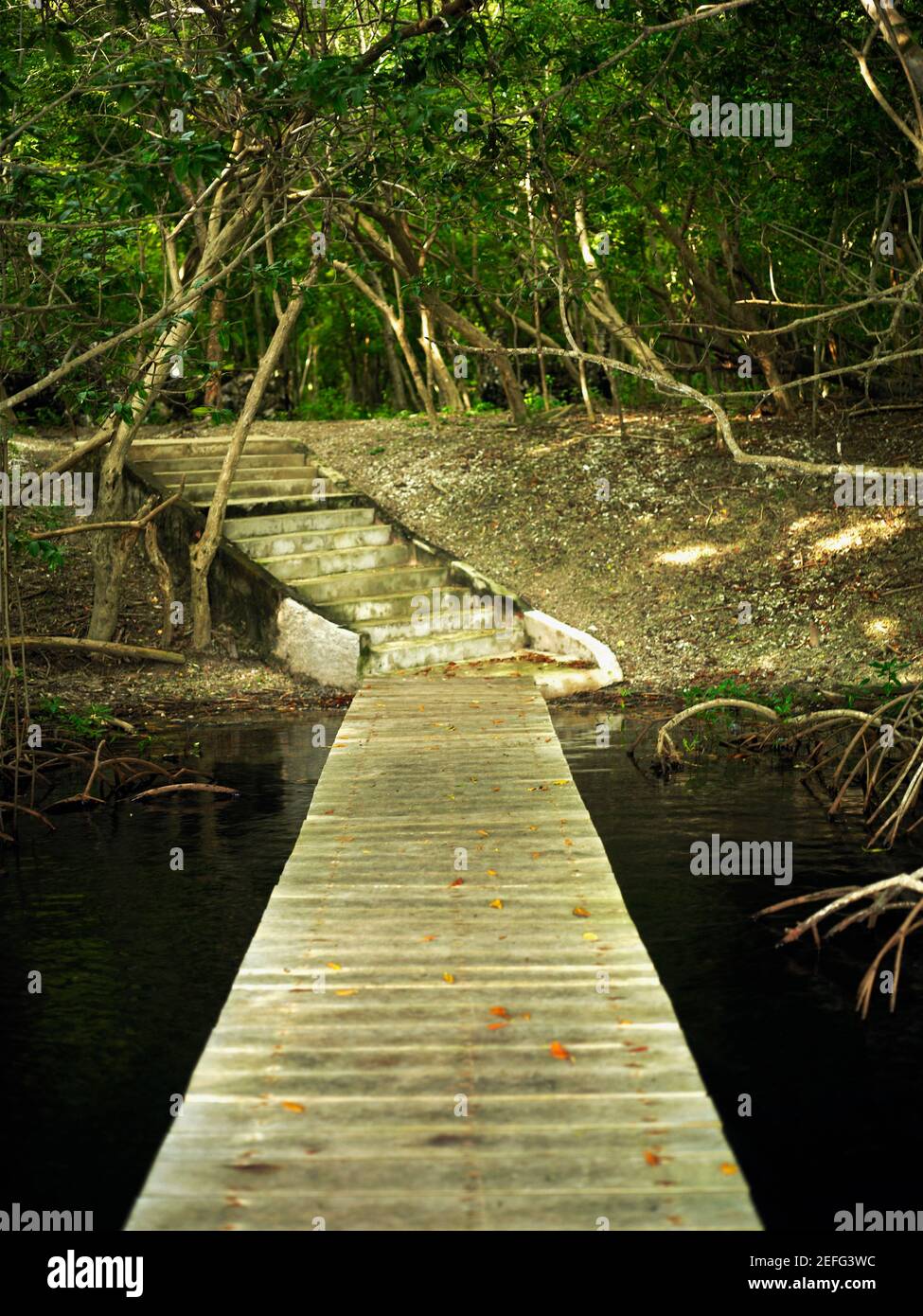 Wooden bridge leading to stairs Stock Photo - Alamy