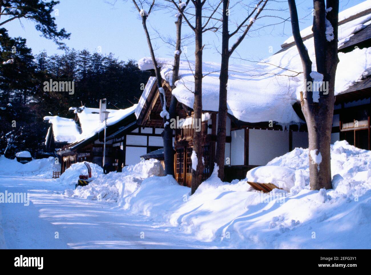 Houses covered with snow, Sapporo, Japan Stock Photo - Alamy