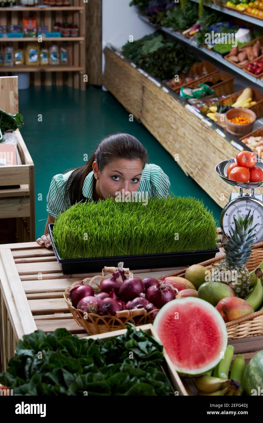 Looking inside grocery store hi-res stock photography and images - Alamy