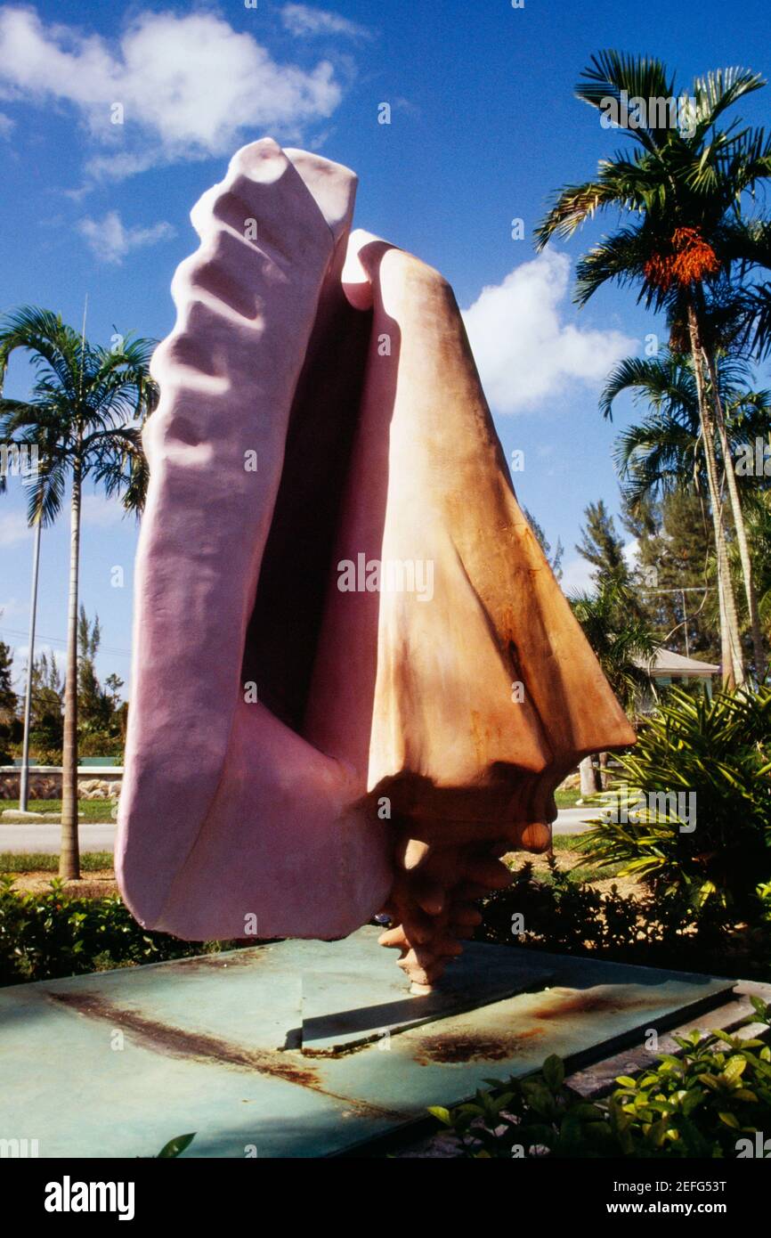 Side view of a huge conch sculpture, Nassau, Bahamas Stock Photo - Alamy