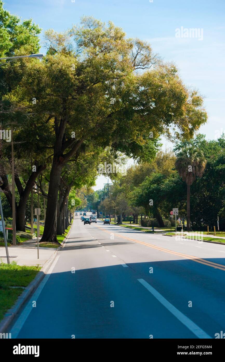 Orlando florida north orange hi-res stock photography and images - Alamy