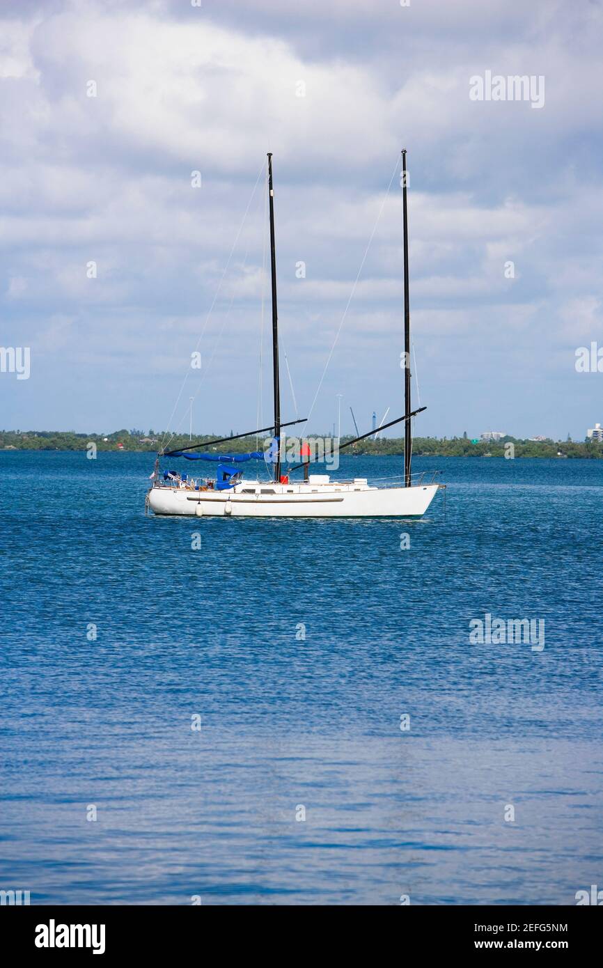 Sailboat in the sea, South Beach, Miami Beach, Florida, USA Stock Photo ...