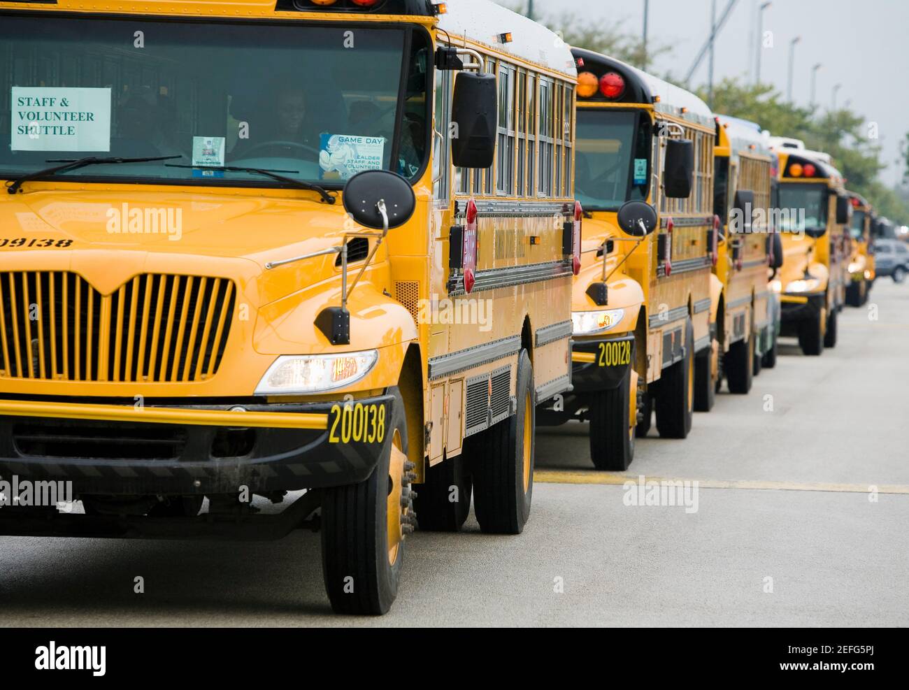 Bus parked in a row Stock Photo - Alamy
