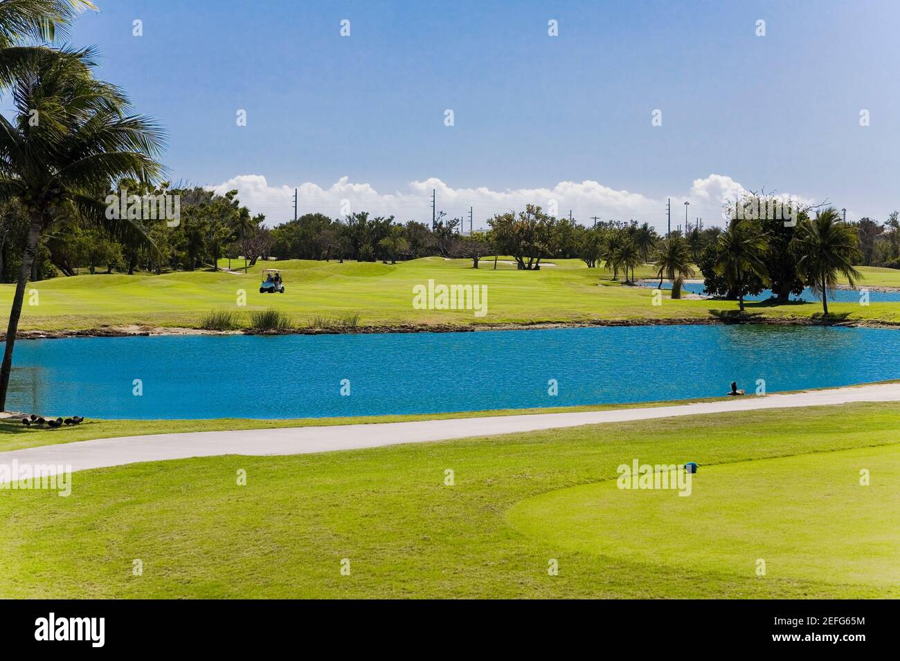 Lake in a golf course, Key West, Florida, USA Stock Photo - Alamy