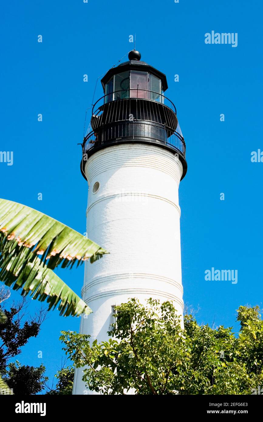 Low angle view of a lighthouse, Key West Lighthouse Museum, Key West ...