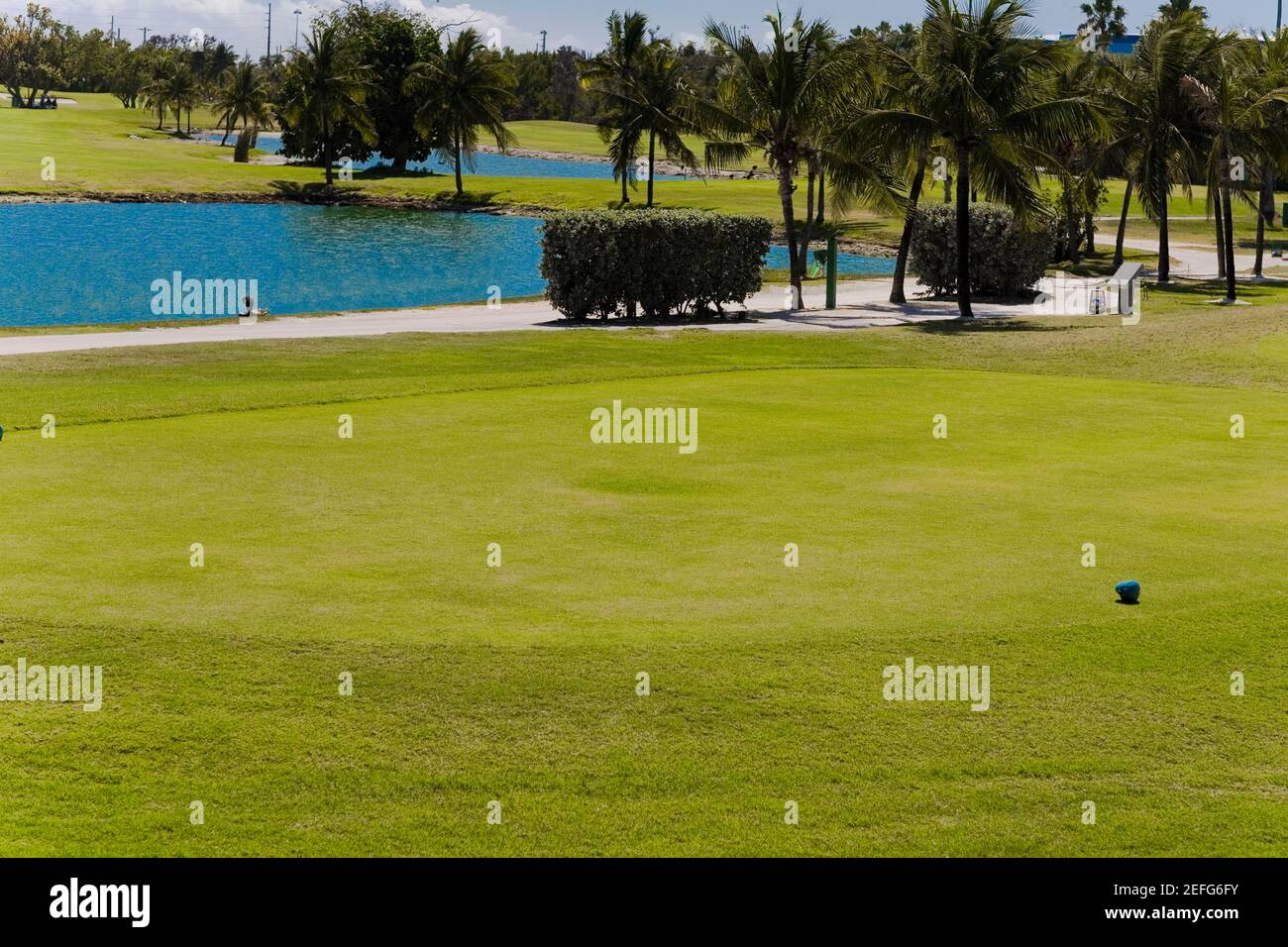 Lake in a golf course, Key West, Florida, USA Stock Photo - Alamy