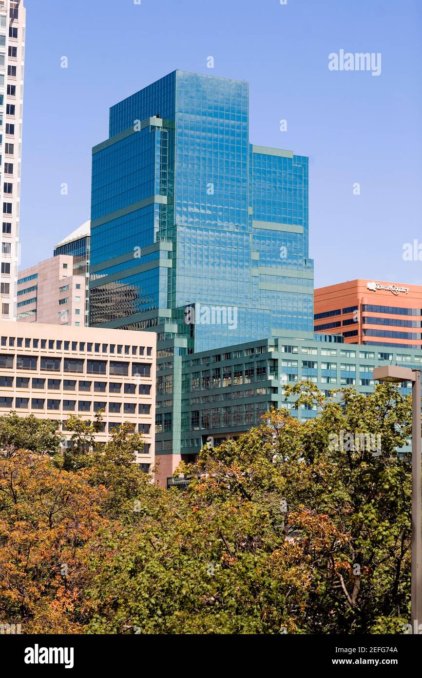 Trees in front of buildings, Baltimore, Maryland, USA Stock Photo - Alamy