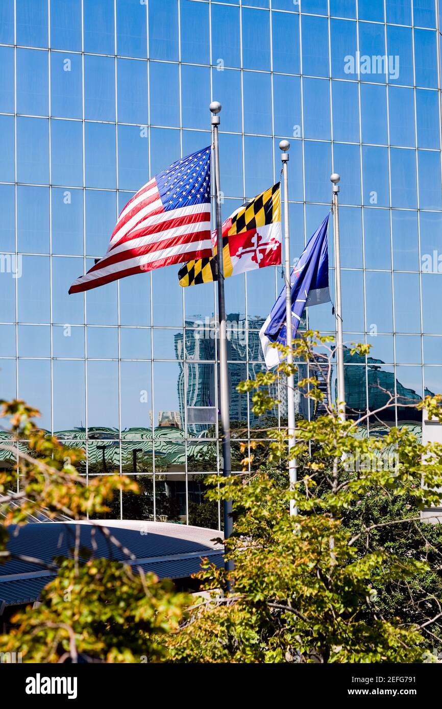 Three flags fluttering in front of a building, Baltimore, Maryland, USA ...