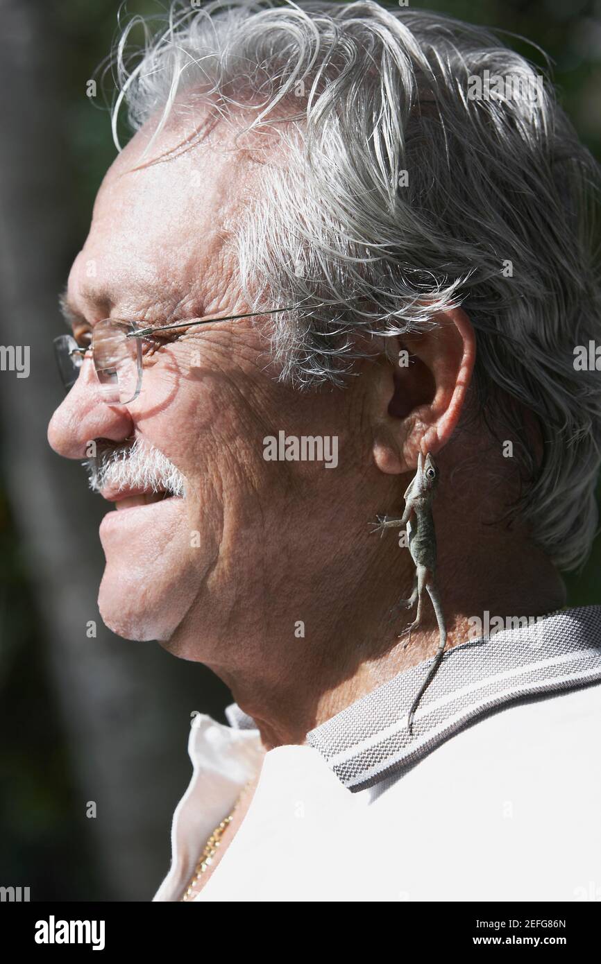 Old man lizard hi-res stock photography and images - Alamy
