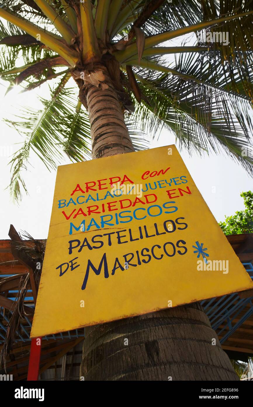 Low angle view of an information board on a Palm tree, Puerto Rico ...
