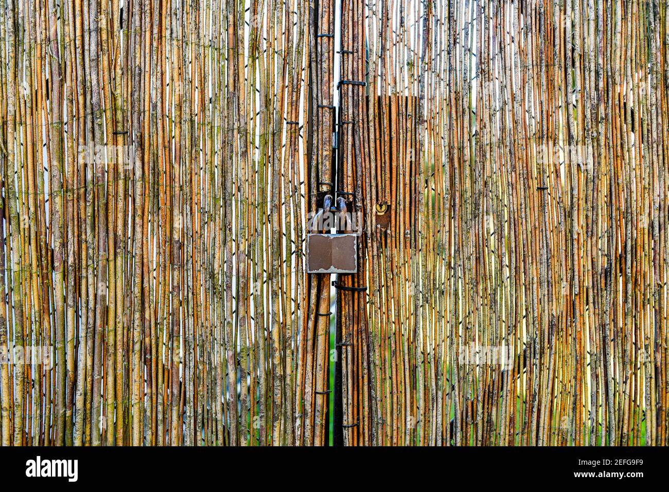 Farm gate padlock and chain hi-res stock photography and images - Alamy