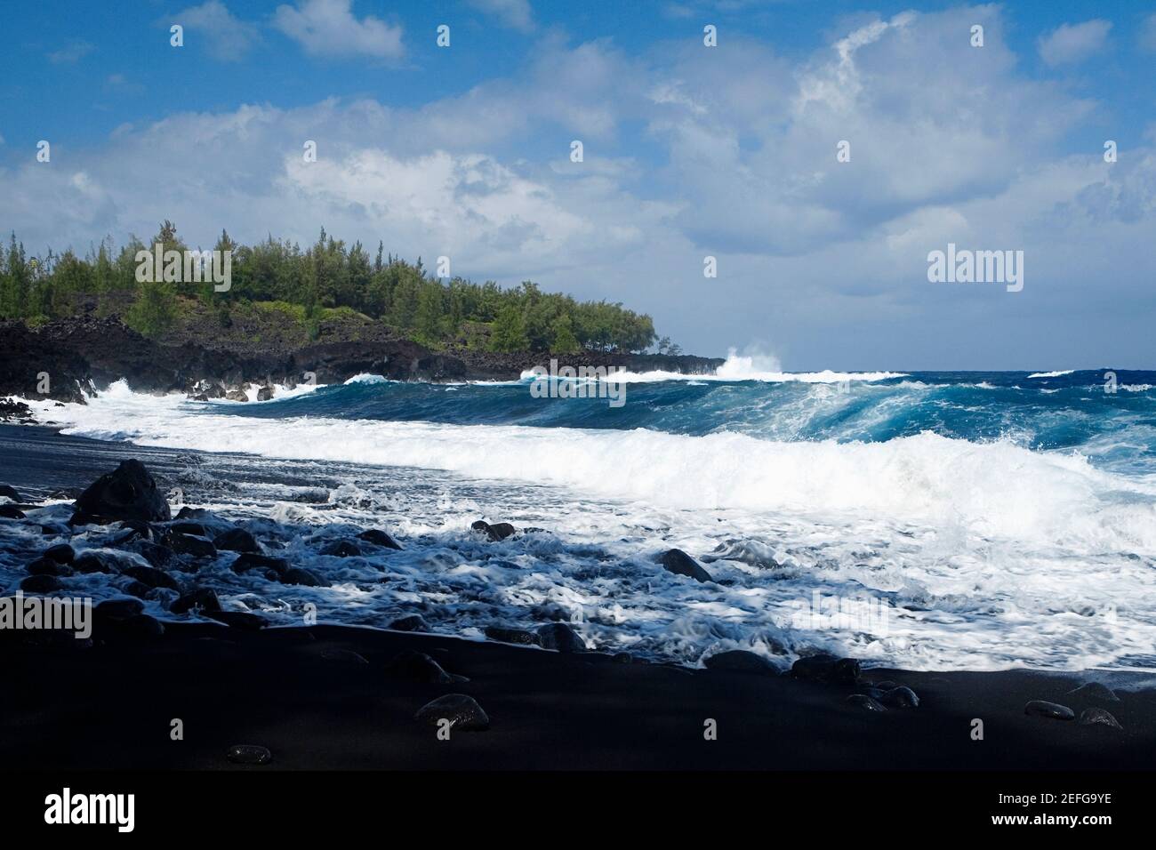 Caucasian People In Puna Hawaii