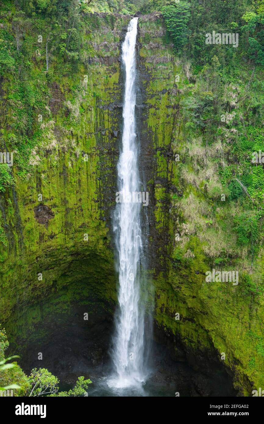 Waterfall in a forest, Akaka Falls, Akaka Falls State Park, Hilo, Big ...