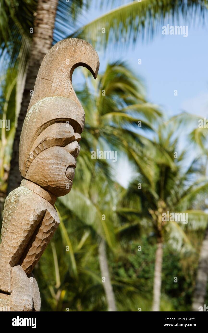 Totem palm hi-res stock photography and images - Alamy
