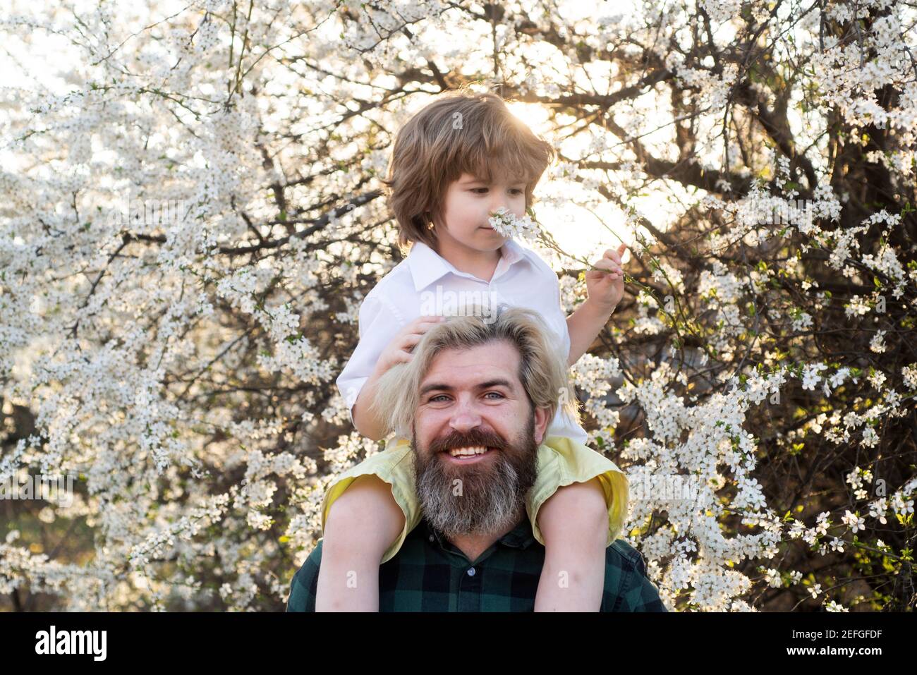 Spring lovely family. Father and son. Dad child shoulder ride Stock ...