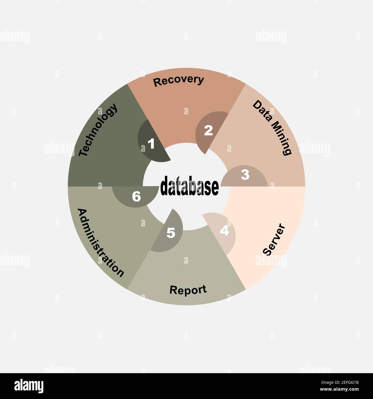 Diagram concept with Database text and keywords. EPS 10 isolated on ...