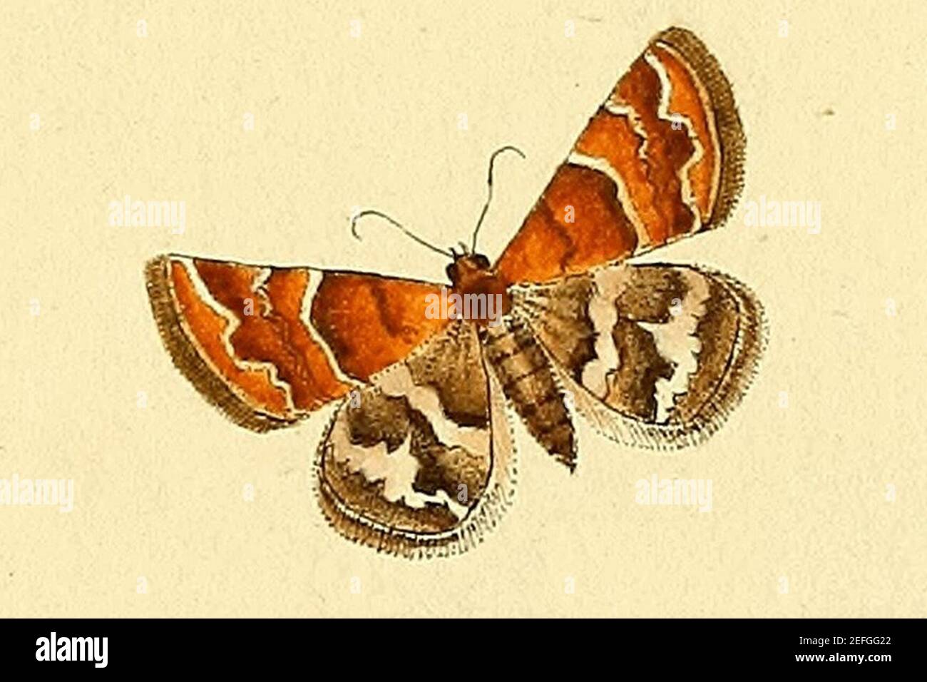 Odice hi-res stock photography and images - Alamy