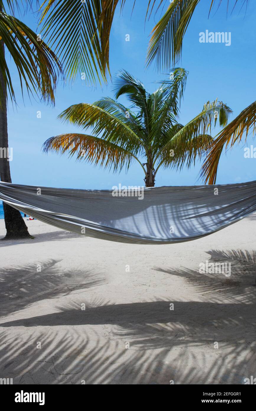 Free puerto rico hi-res stock photography and images - Alamy