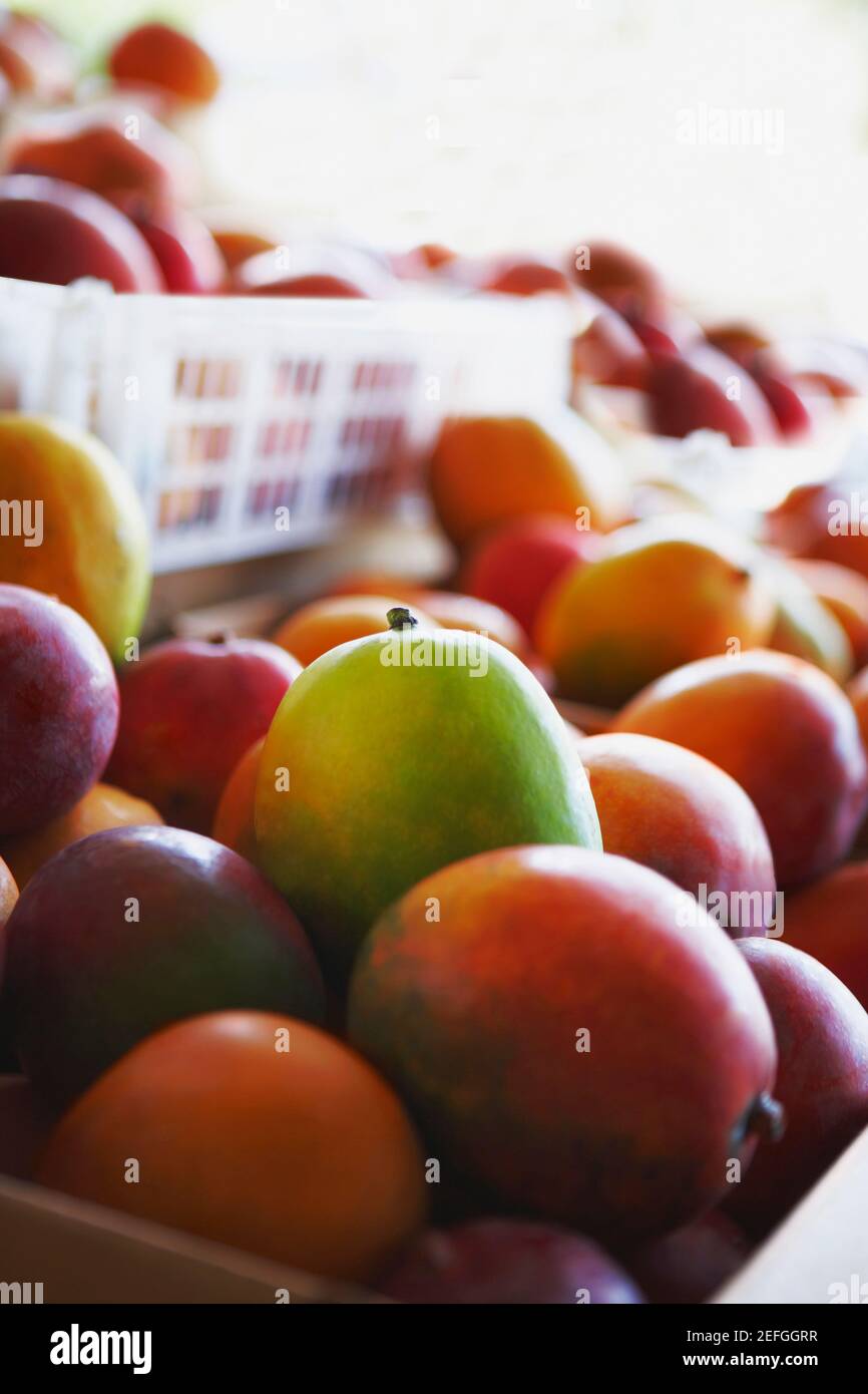 Mangoes image hi-res stock photography and images - Alamy