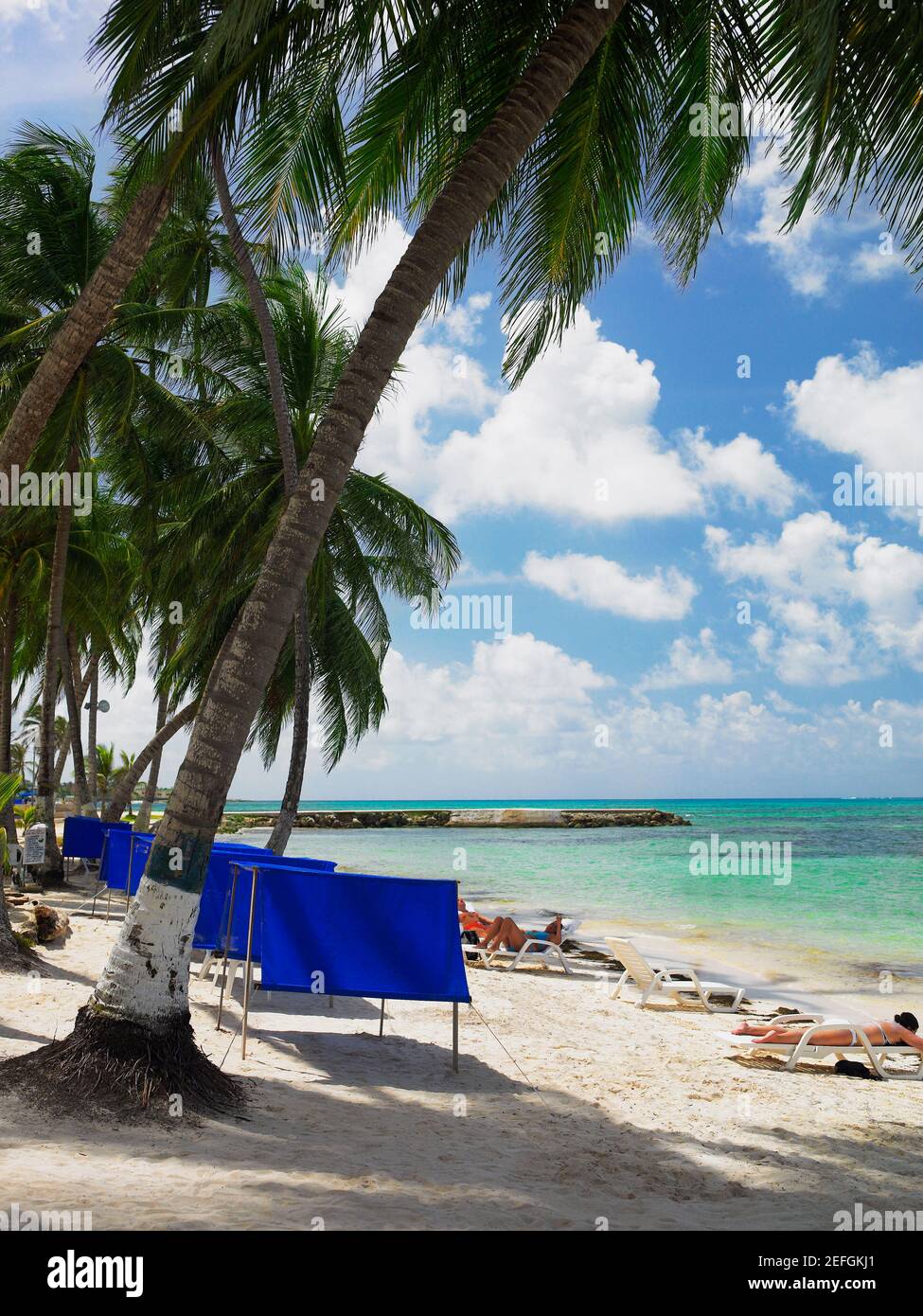 Tourists sunbathing on the beach, Spratt Bight Beach, San Andres ...