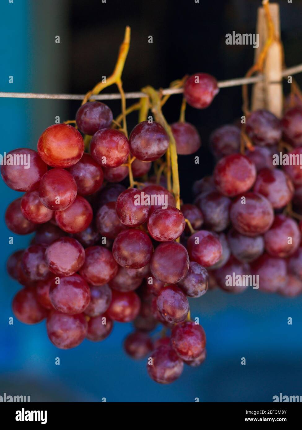 Close-up of red grapes hanging at a market stall, Providencia ...