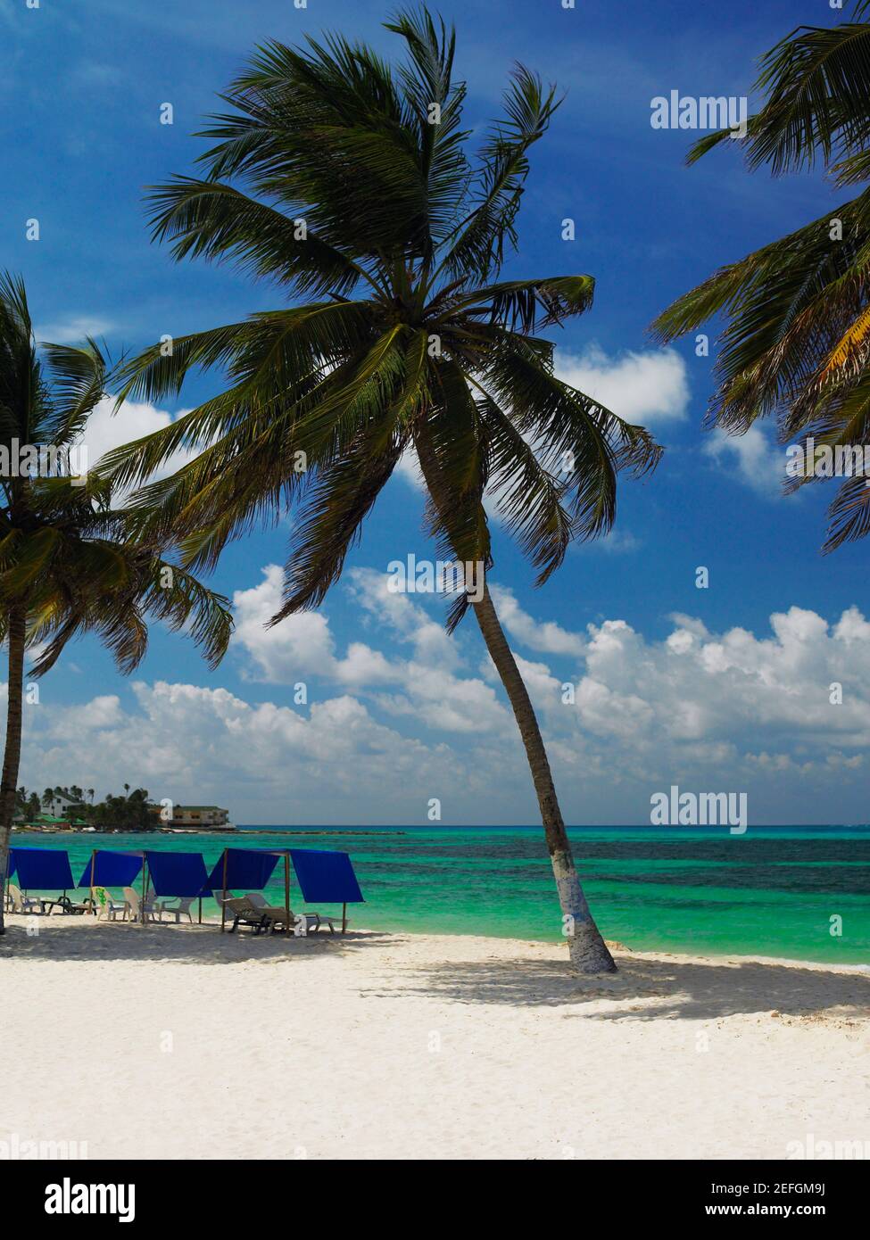 Tents and chairs on the beach, Spratt Bight Beach, San Andres ...
