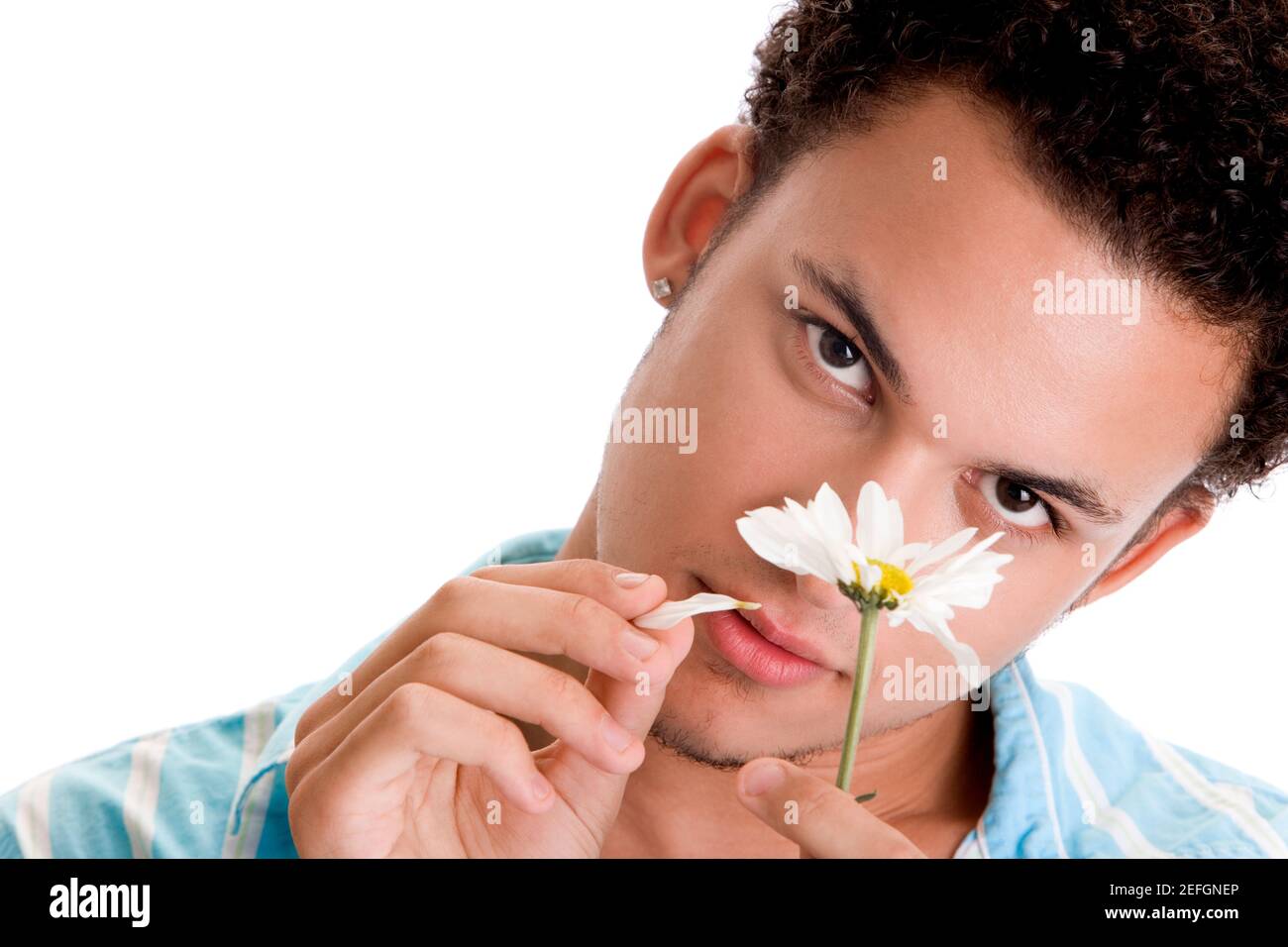 Portrait of a young man plucking petals of a flower Stock Photo - Alamy