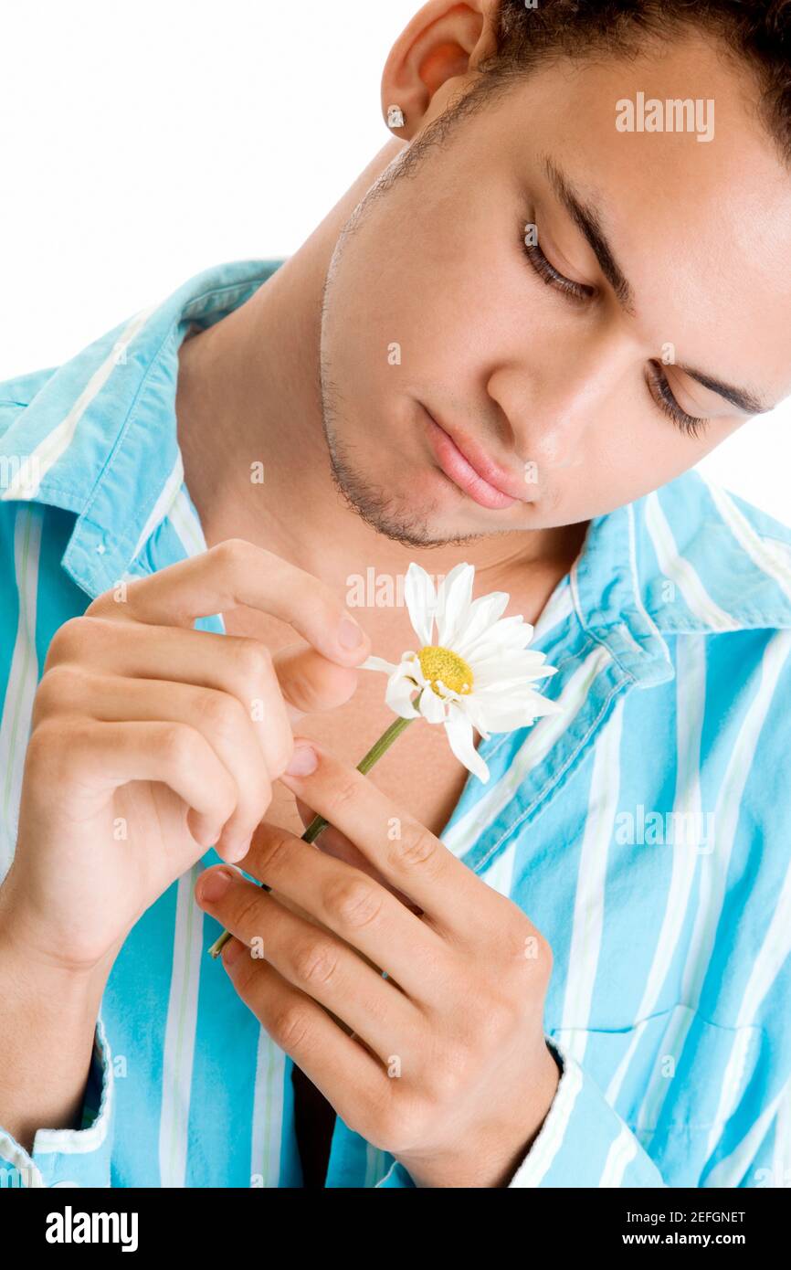 Close-up of a young man plucking flower petals Stock Photo - Alamy