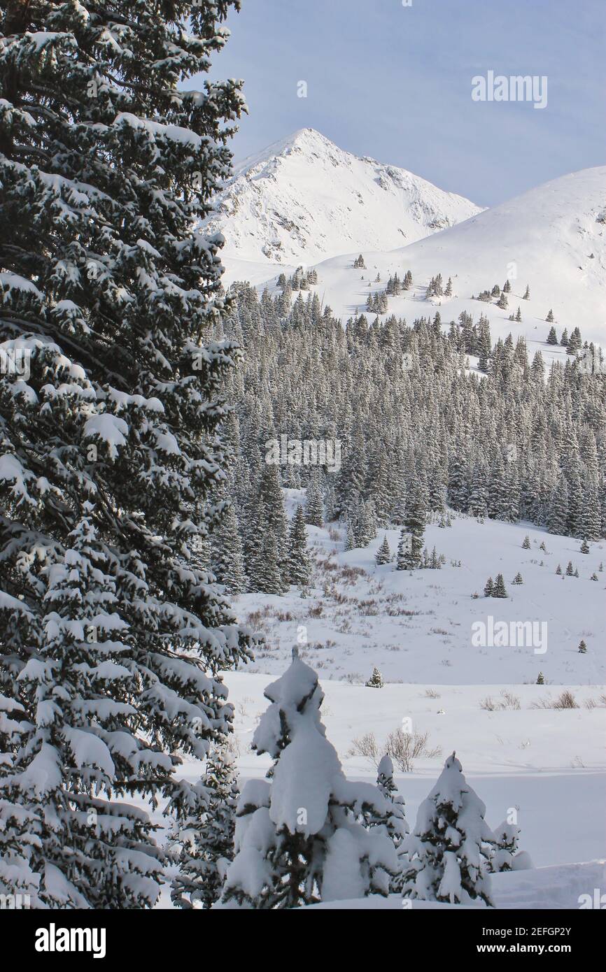 Winter Scenery at High Elevation Stock Photo - Alamy