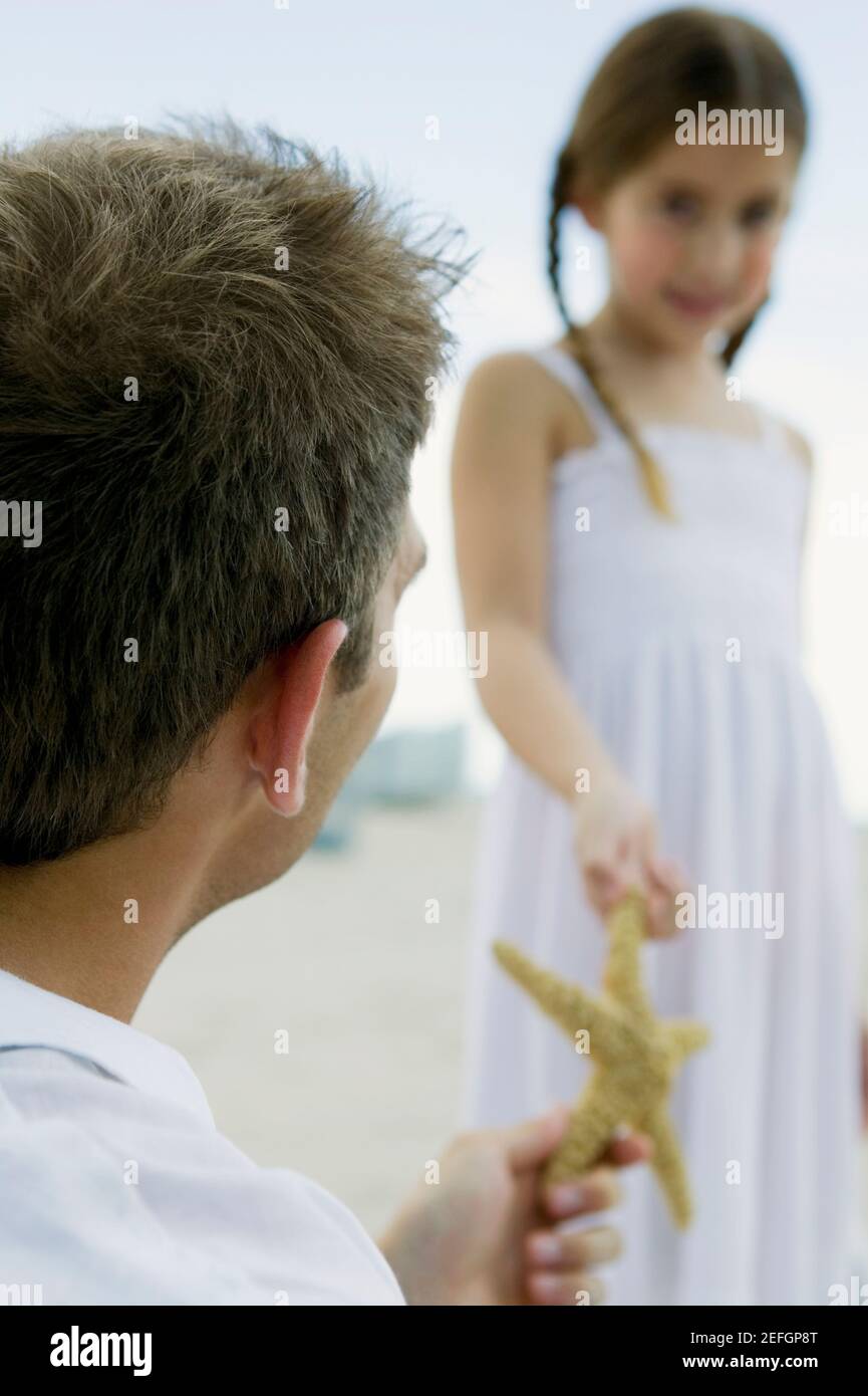 Starfish relative hi-res stock photography and images - Alamy