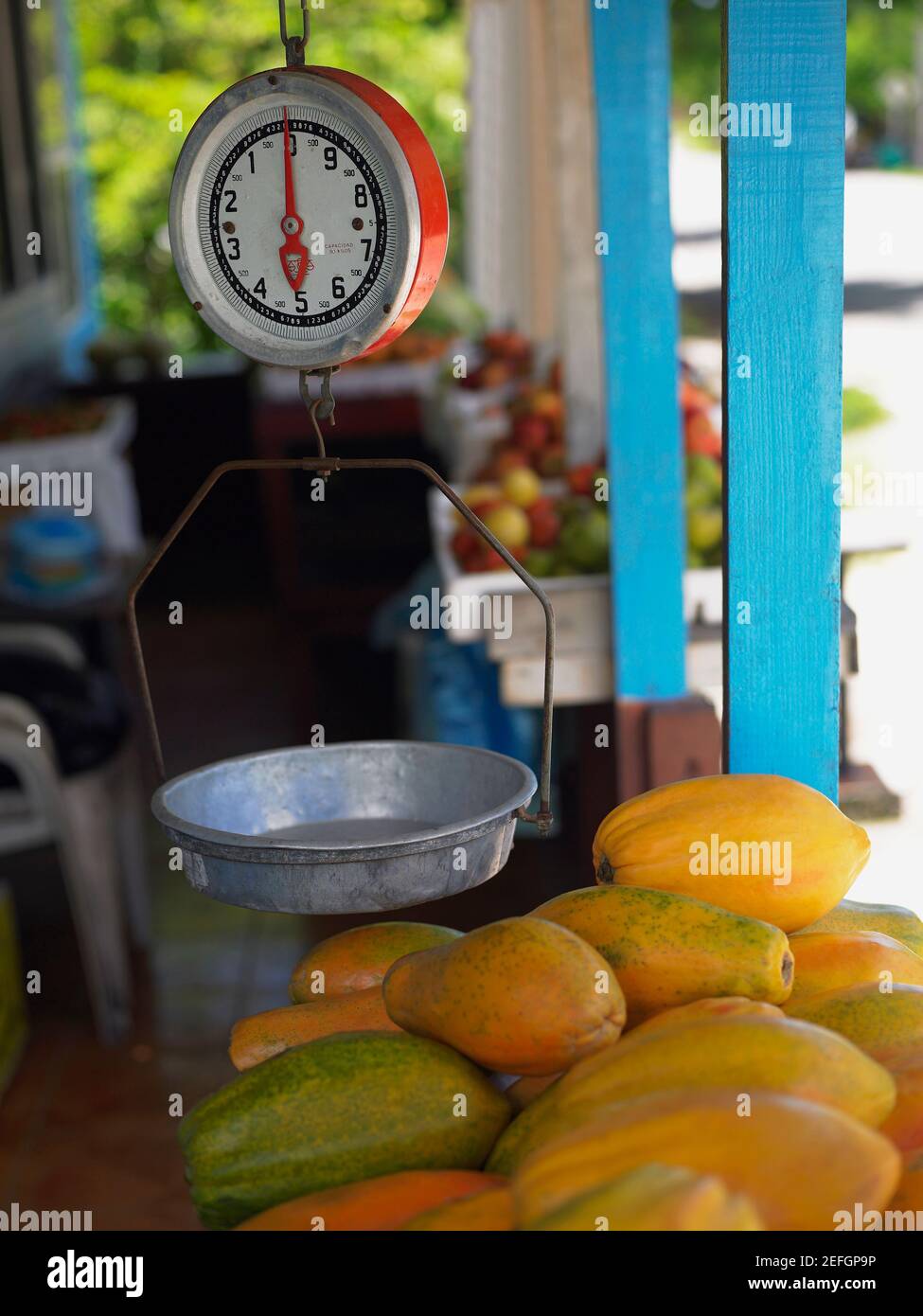 Weighing scale over a heap of papayas at a market stall, Providencia ...