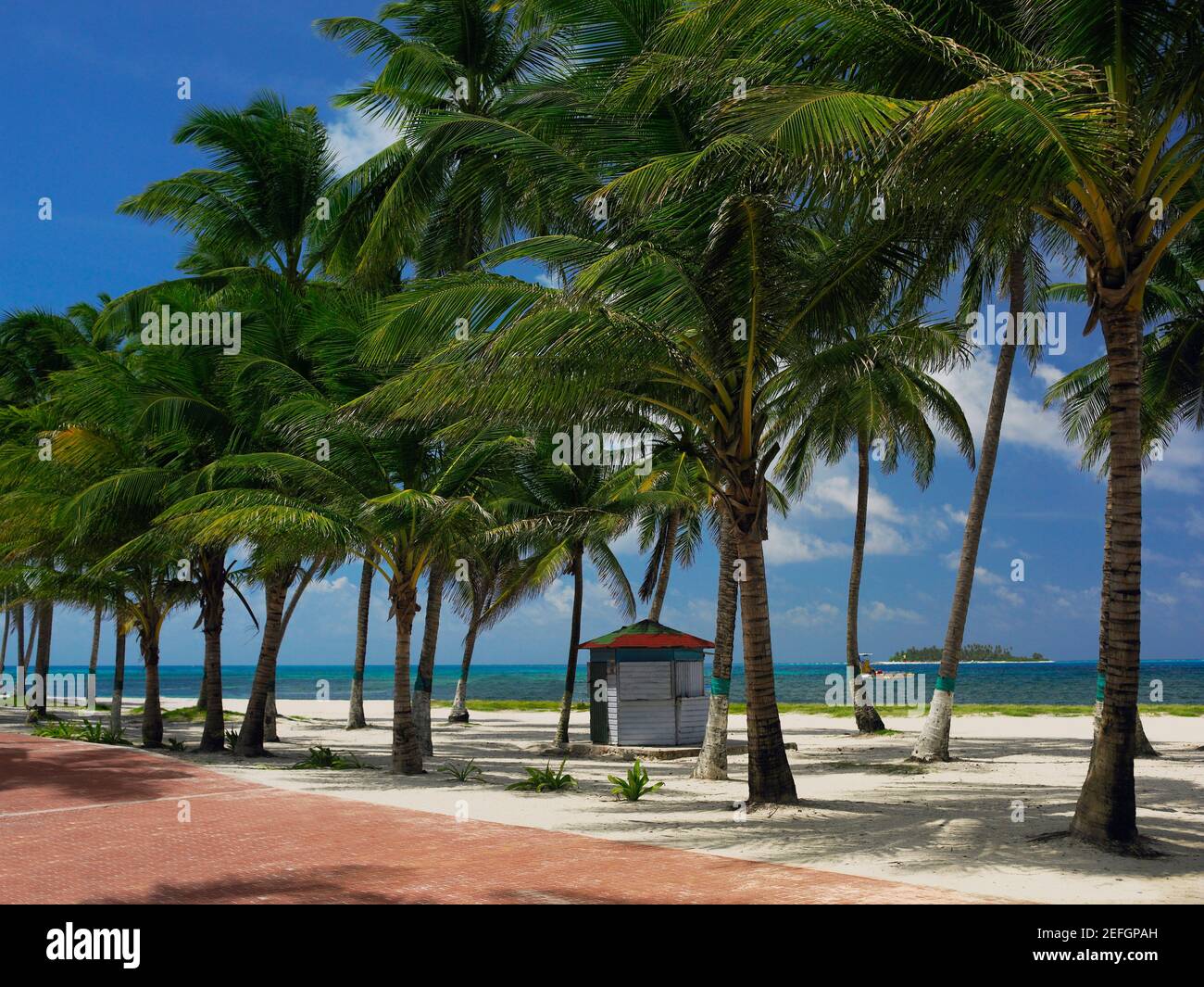 Spratt bight beach hi-res stock photography and images - Alamy