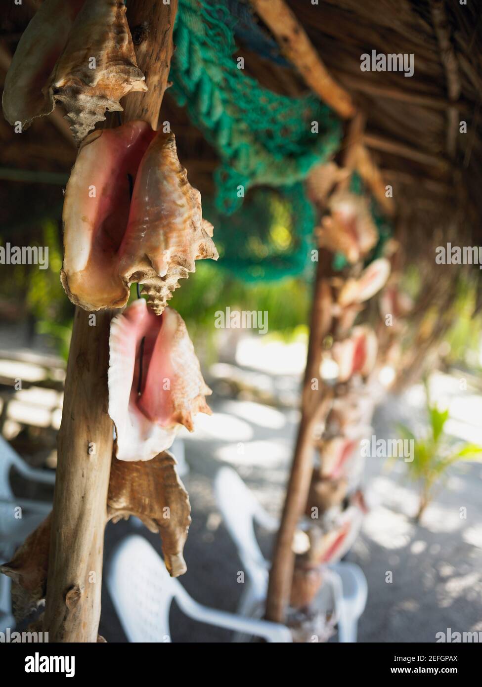 Seashell Roof High Resolution Stock Photography and Images - Alamy