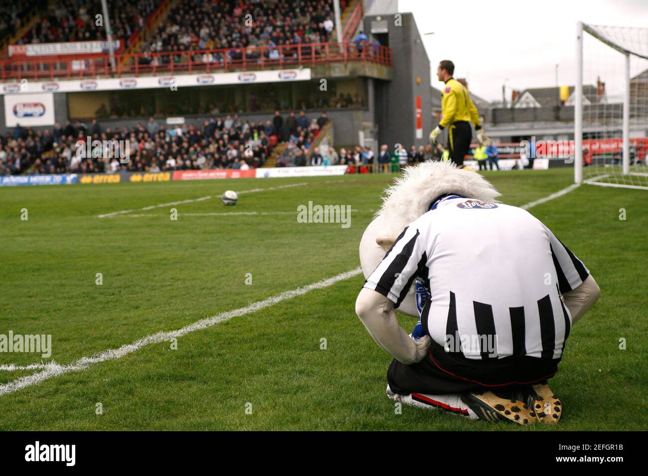 Grimsby town mascot hi-res stock photography and images - Alamy